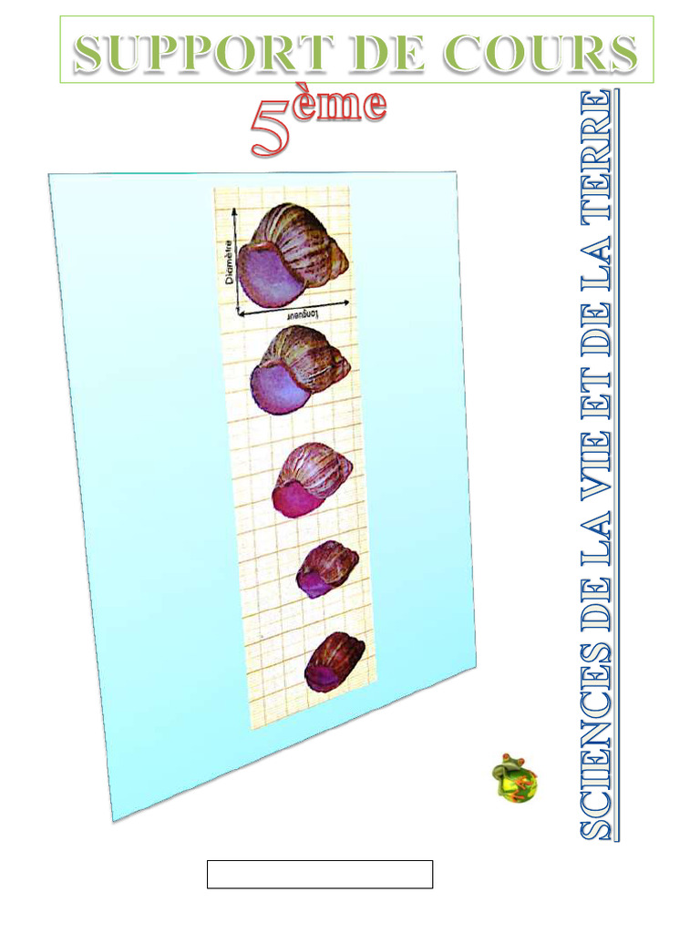 Support 5e - PL-UPSVT | PDF