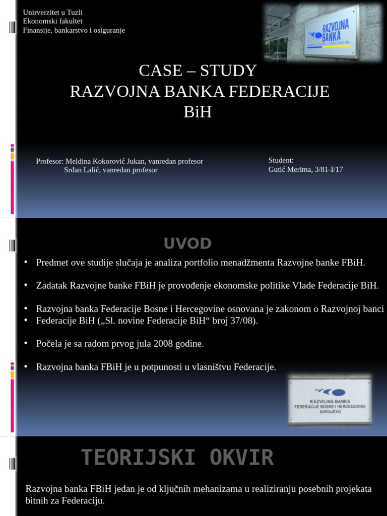 Case Study - Merima Gutić | PDF