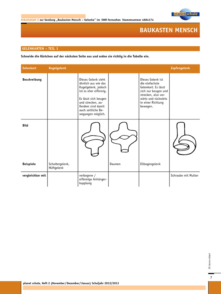 Die Gelenke Des Menschen Ab02 Gelenkarten 1 | PDF