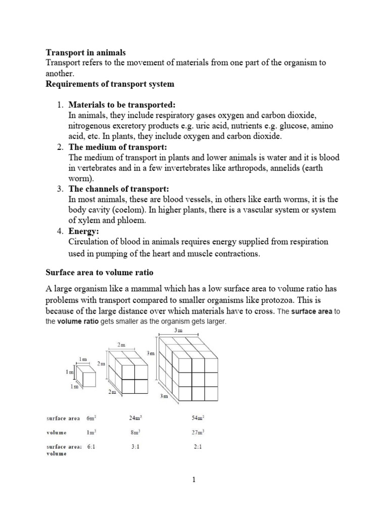 S2 Biology Notes-Chebet Milton Gayaza High School Transport in Animals ...