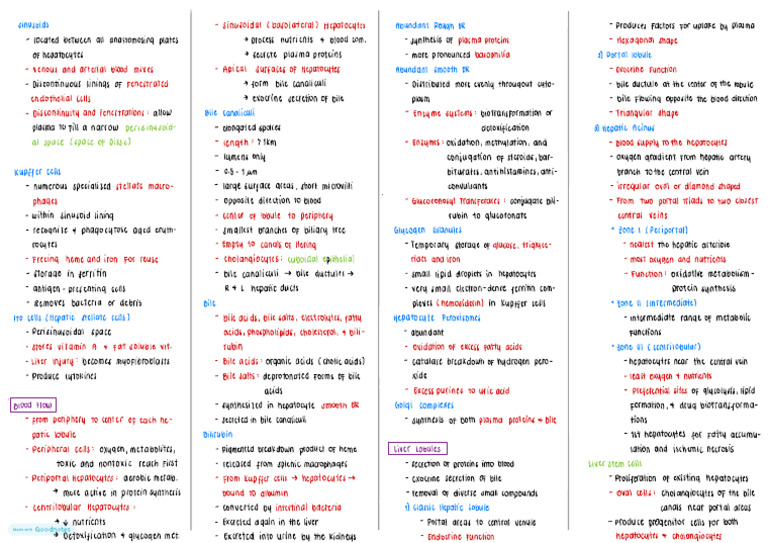 GI2 - Page 2 I | PDF