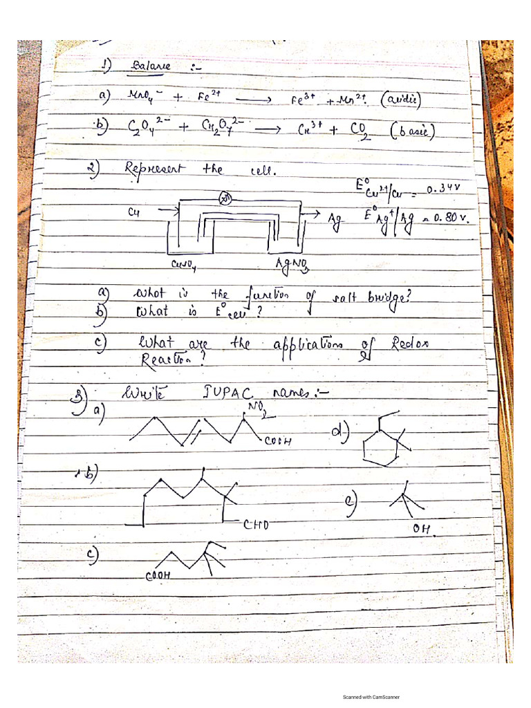 Revision Work 11 HLY | PDF