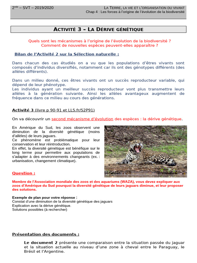 Activit_3_derive_genetique__lve | PDF
