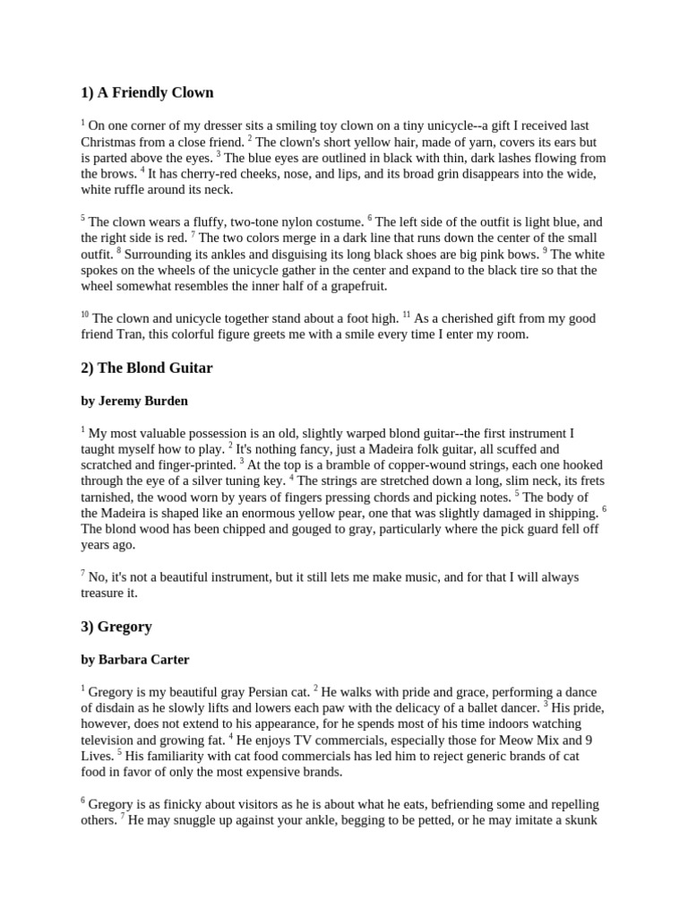 Descriptive Paragraphs | PDF