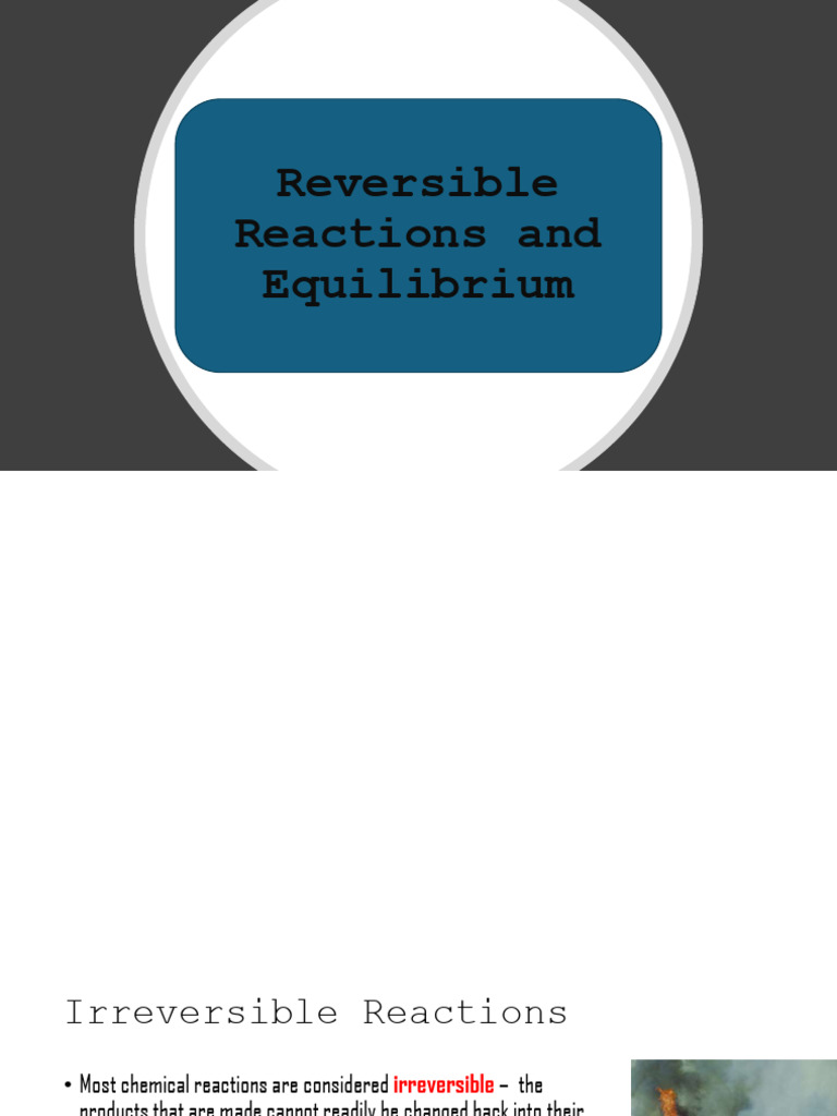 CH 9 Reverse Reactions and Equilibrium 2024 | PDF