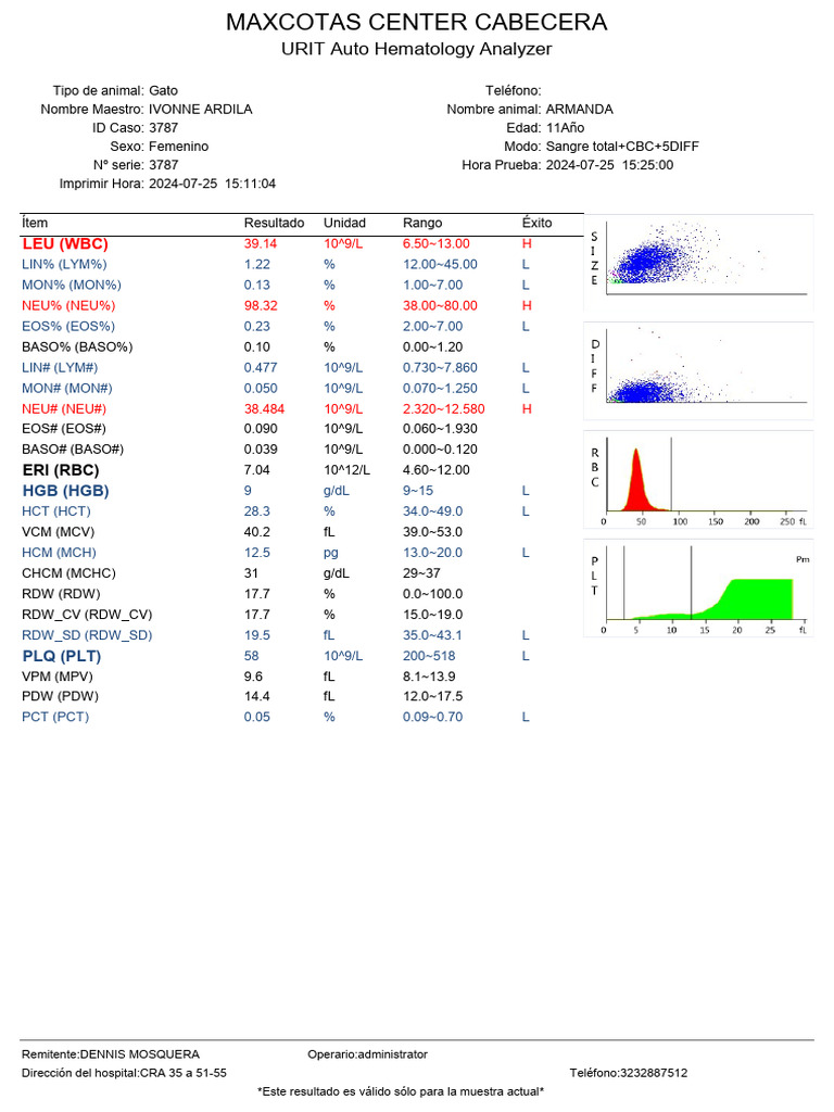 Ch-3787 Armanda Ardila | PDF