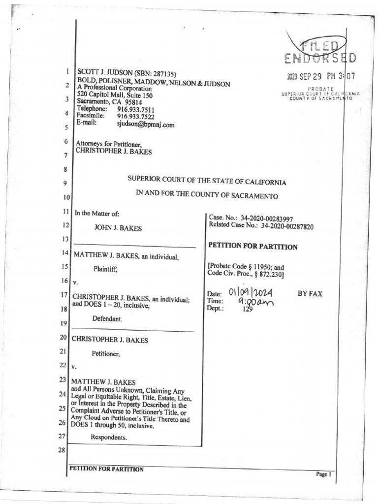 Probate Petition for Partition Action | PDF