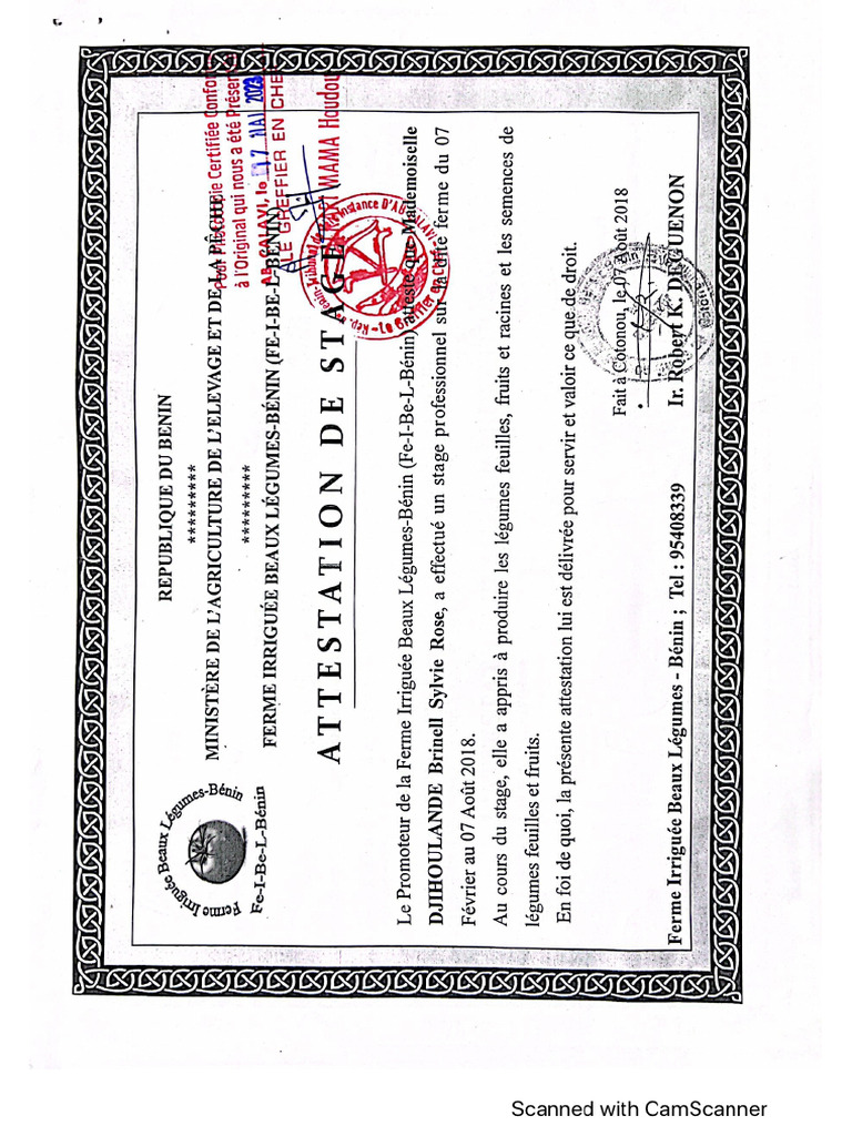 Attestation de Stage | PDF
