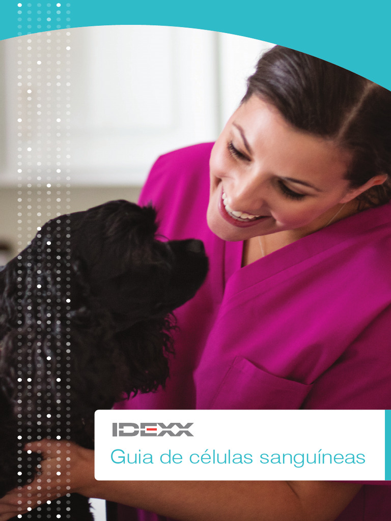 Blood Cell Guide PT BR | PDF