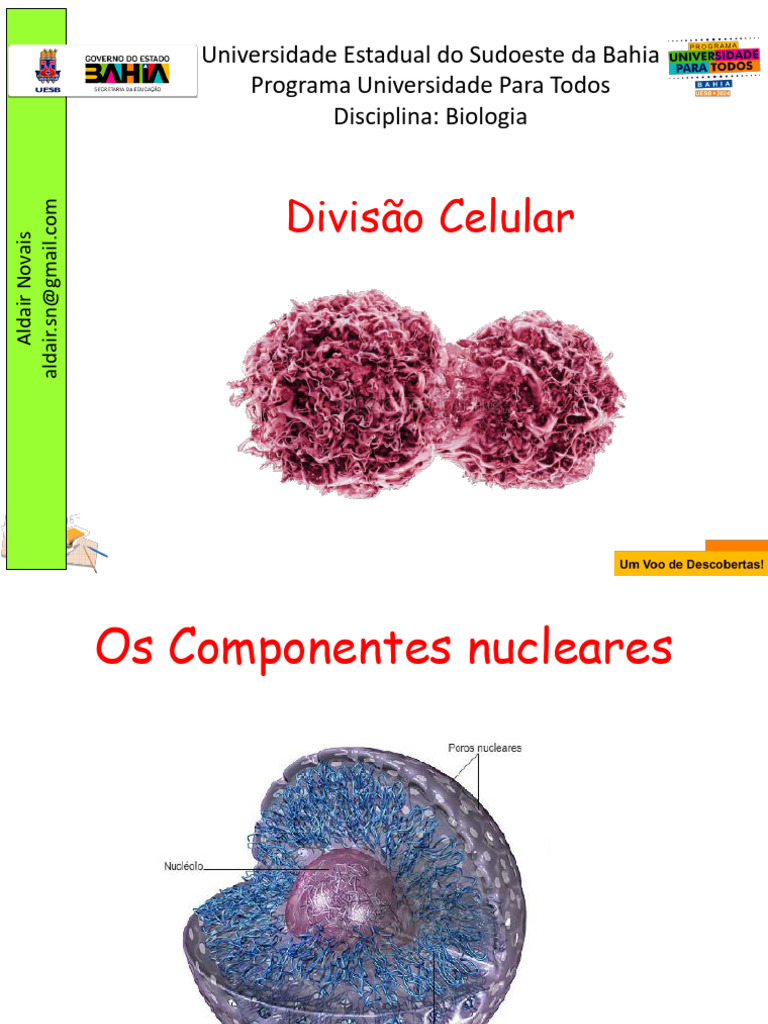 Aula 07 - Divisão Celular | PDF | Meiose | Autoajuda
