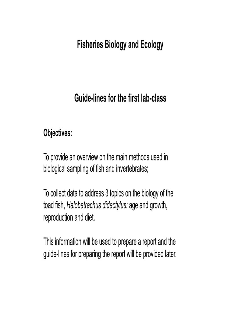 LabClass1 Guidelines | PDF