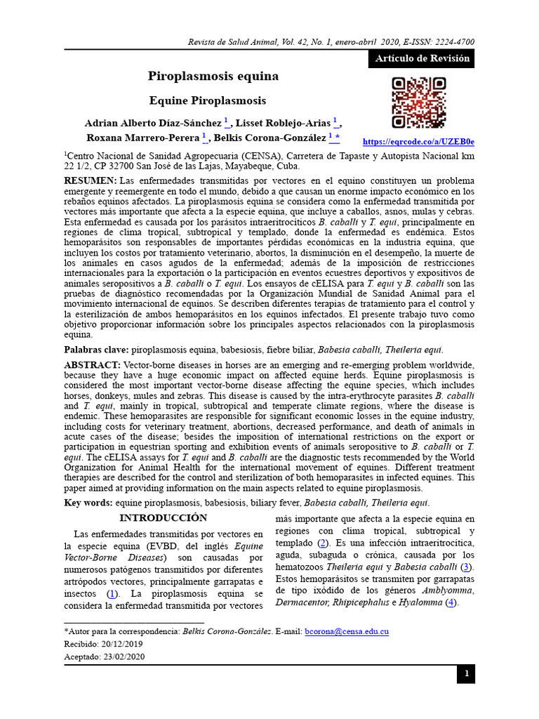 Piroplasmosis Equina (Tema 6. Babesiosis) | PDF