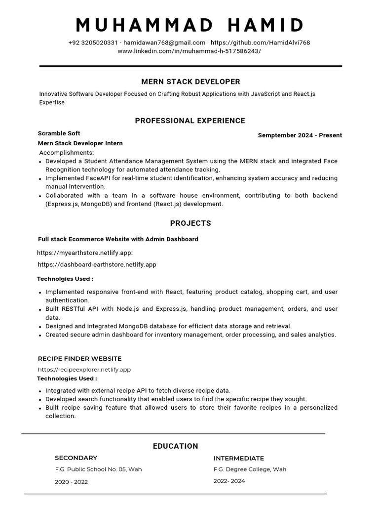 Muhammad Hamid - Mern Stack Developer | PDF