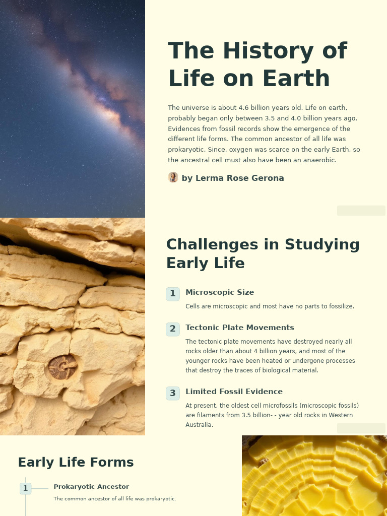 The History of Life On Earth | PDF