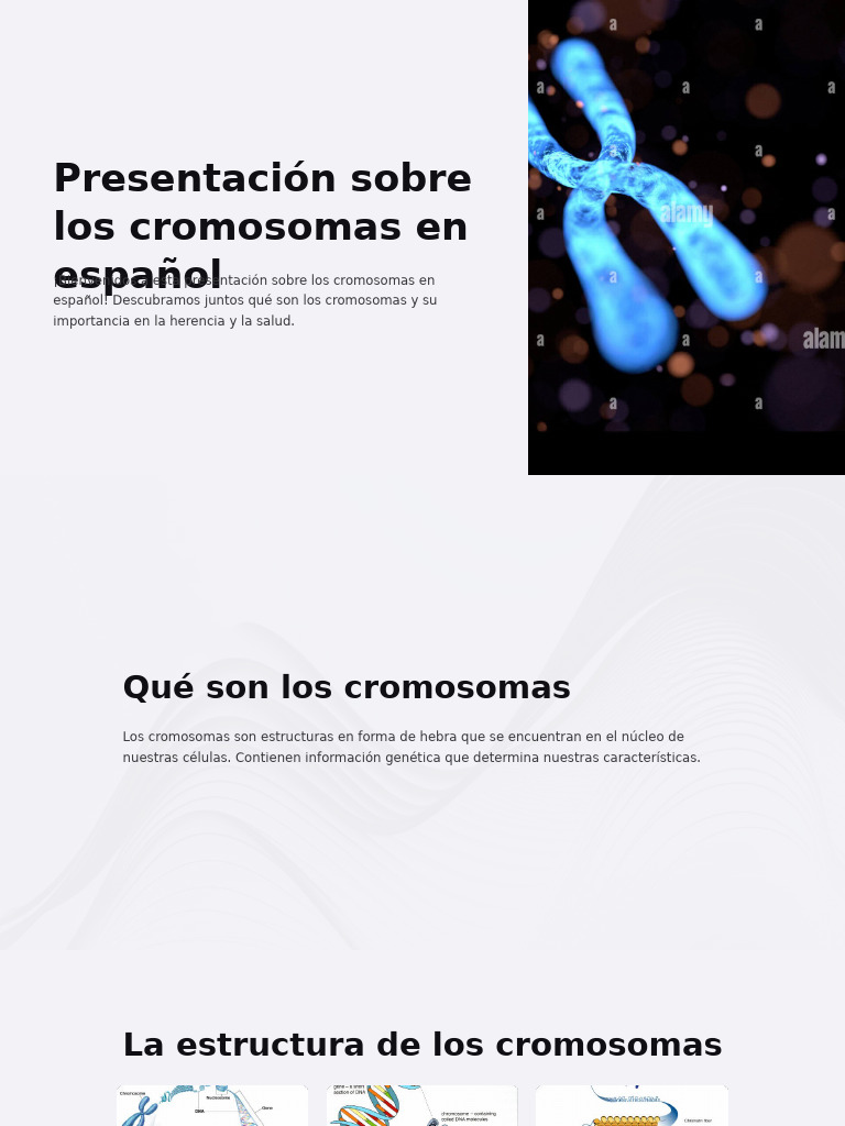 Presentacion Sobre Los Cromosomas | PDF