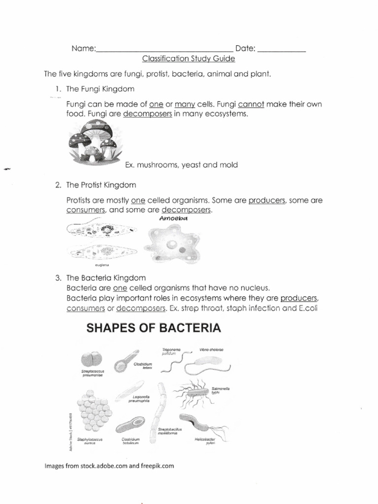 Classification+Study+Guide | PDF