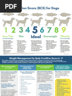 Royal Canin Body Condition Score Charts | PDF | Abdomen | Pelvis