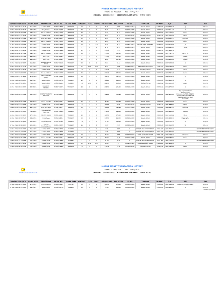 Momo Statement Report | PDF