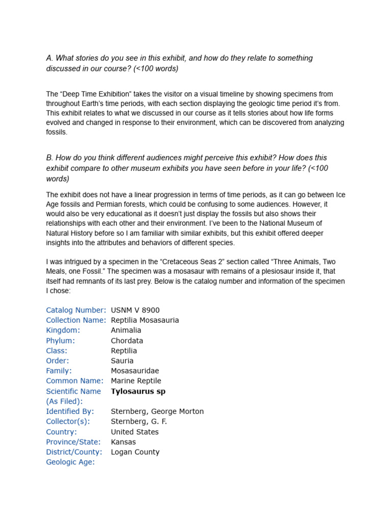 Virtual Museum Curation | PDF