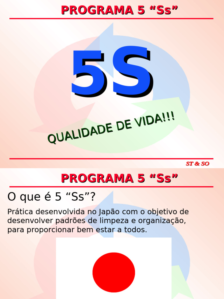 programa-5s | PDF
