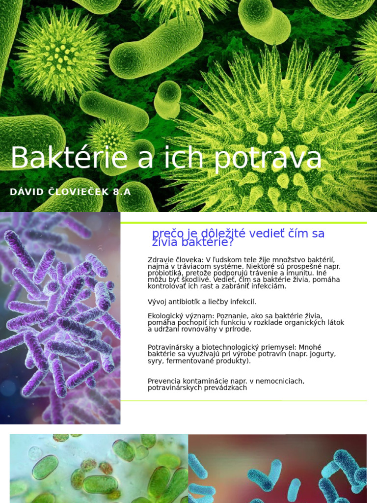 Bakterie Potrava DC | PDF
