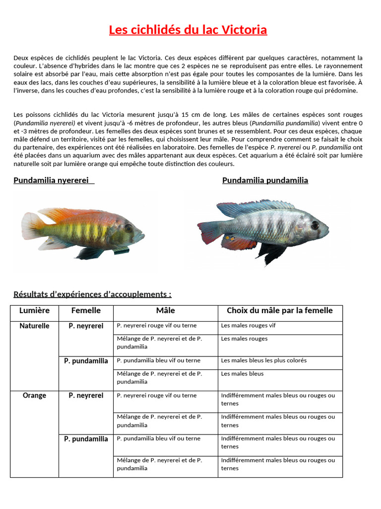 td-8-cichlides-avec-correction | PDF