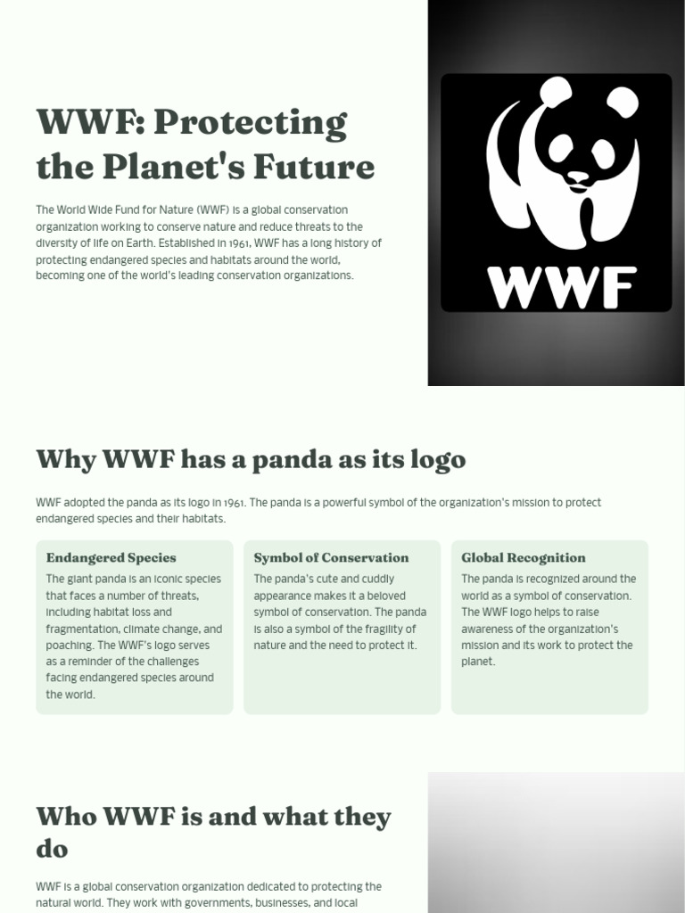 WWF Protecting The Planet | PDF
