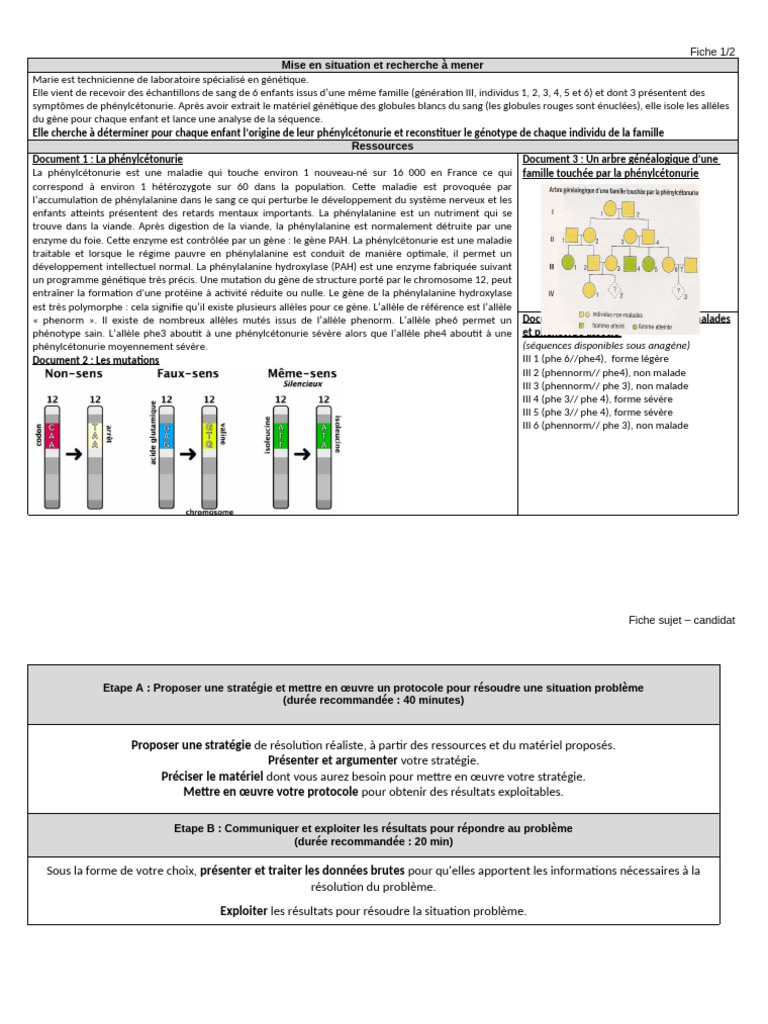 tp-ece-phenylcetonurie-sujet-corrige | PDF