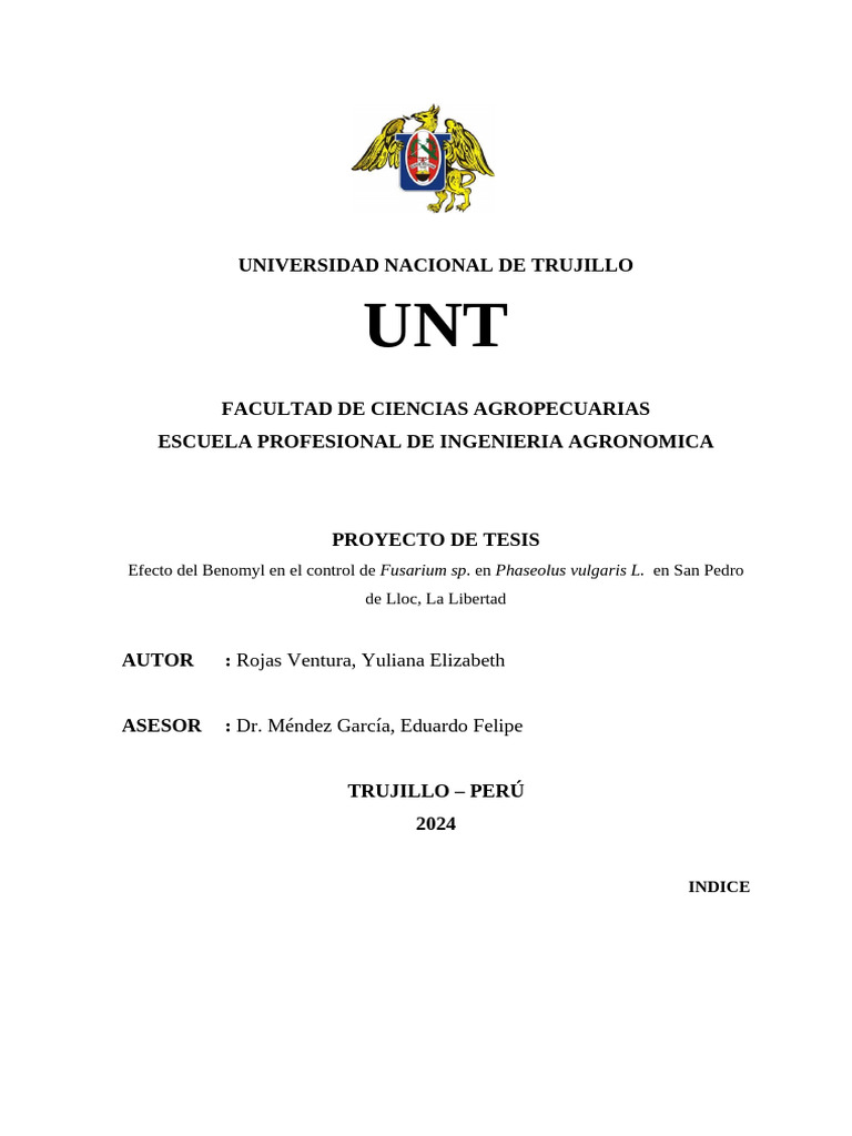 Proyecto de Tesis - Yuliana Rojas | PDF