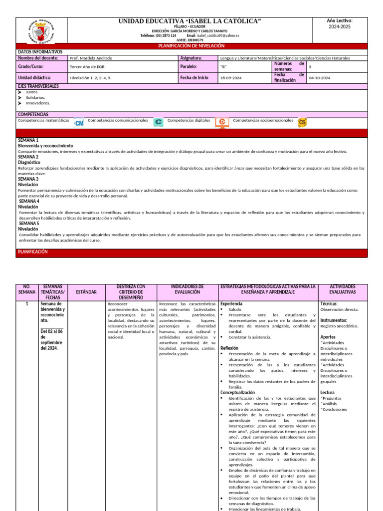 3ro FORMATO NIVELACIÓN | PDF