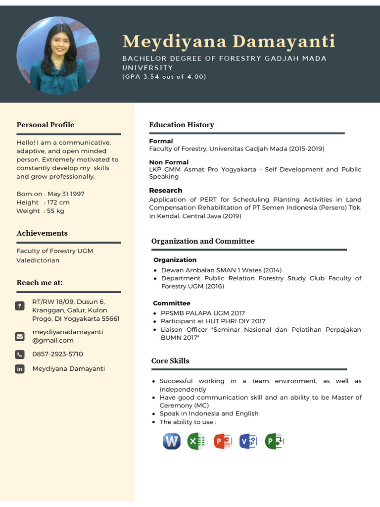 CV - Meydiyana Damayanti-PROJECT CONTROL | PDF