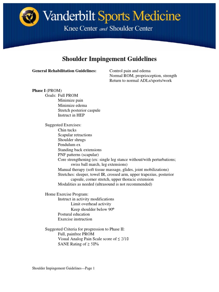 Shoulder Impingement Guidelines | PDF | Shoulder | Anatomical Terms Of ...