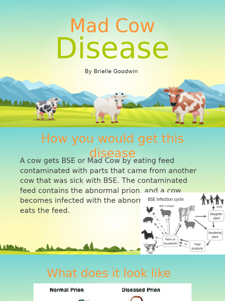 Understanding Mad Cow Disease | PDF