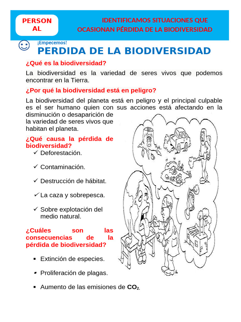 D1 A2 Ficha Ps. Identificamos Situaciones Que Ocasionan Pérdida de La Biodiversidad | PDF