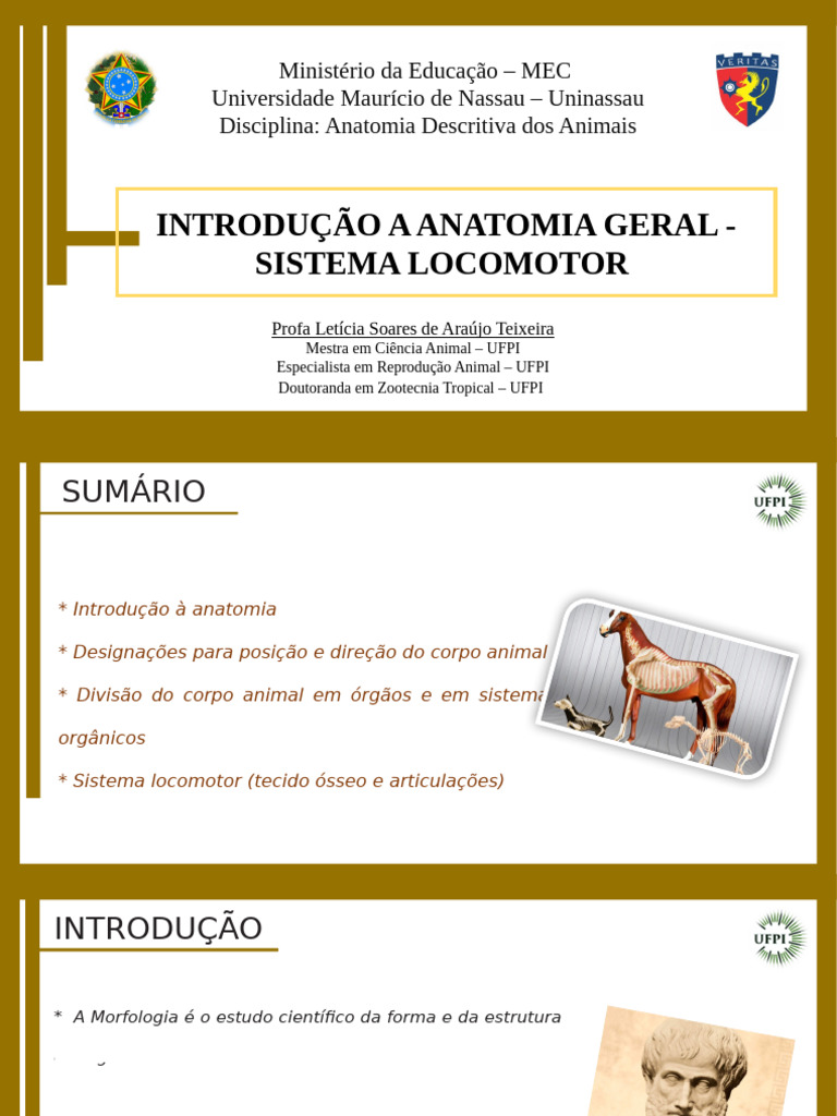Anatomia Geral | PDF