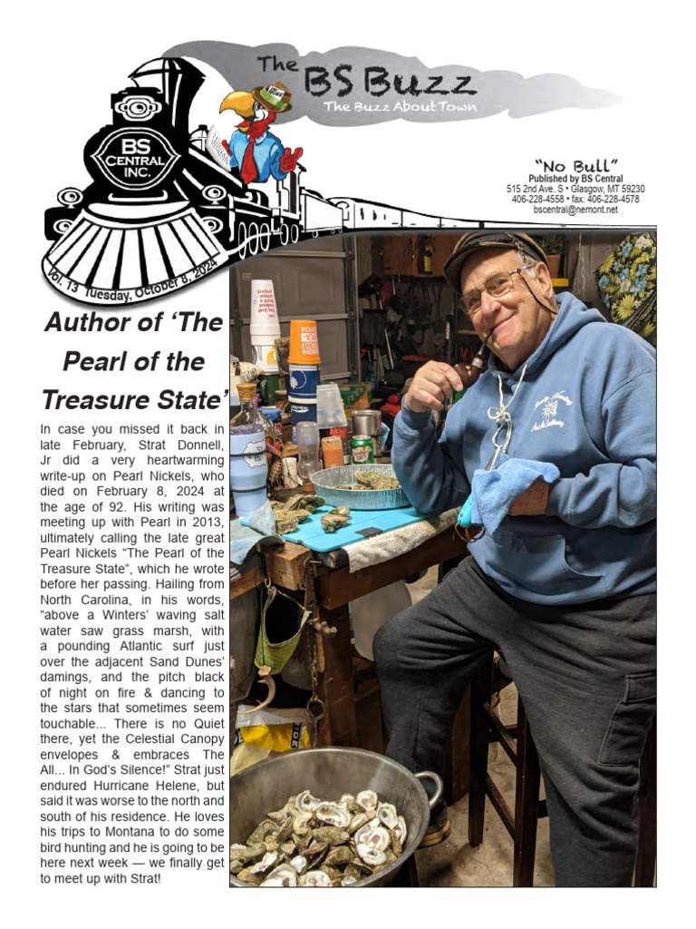 BS Buzz | PDF | Touchdown