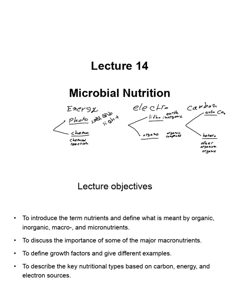 L-14-Microbial Nutrition | PDF