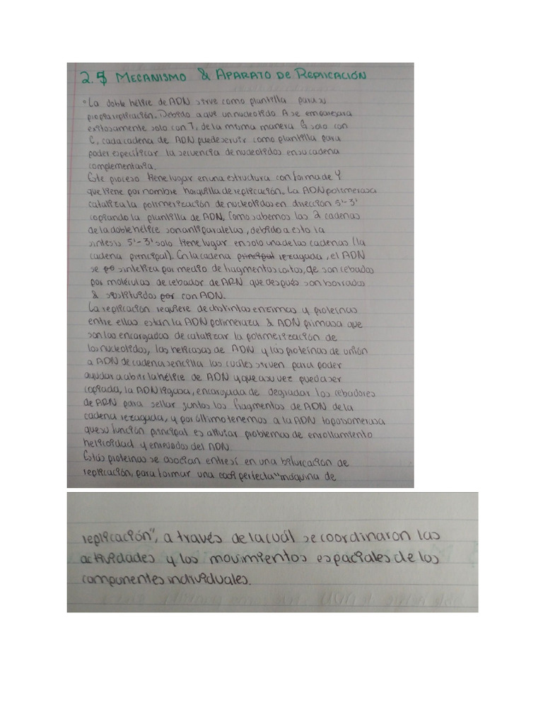 Mecanismo & Aparato de Replicación | PDF