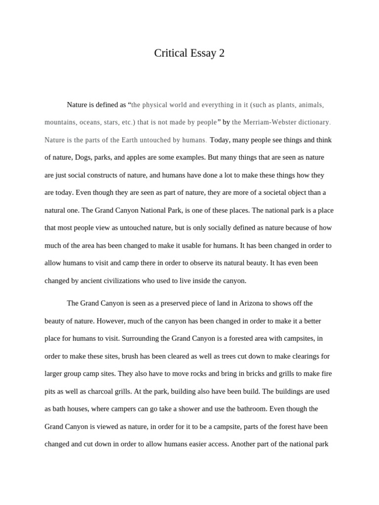 Critical Essay 2 | PDF