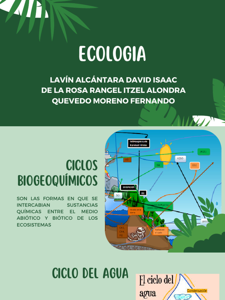 ECO-S2-A3 - de La Rosa - Rangel - Itzel Alondra | PDF