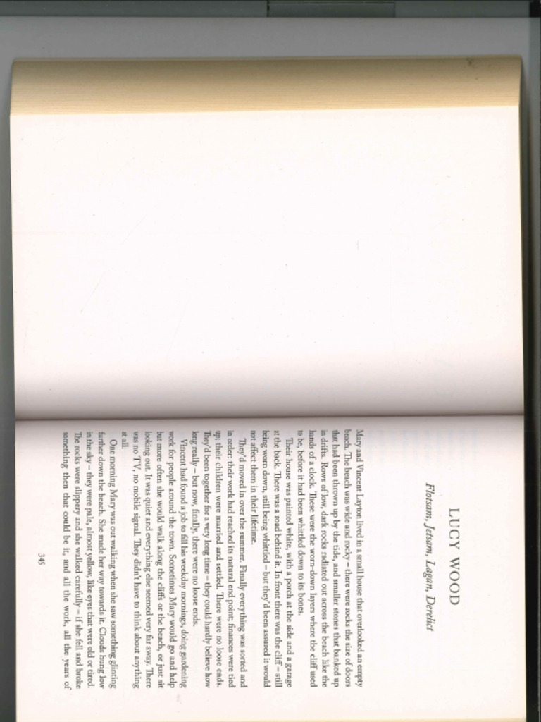 Lucy Wood Flotsam | PDF