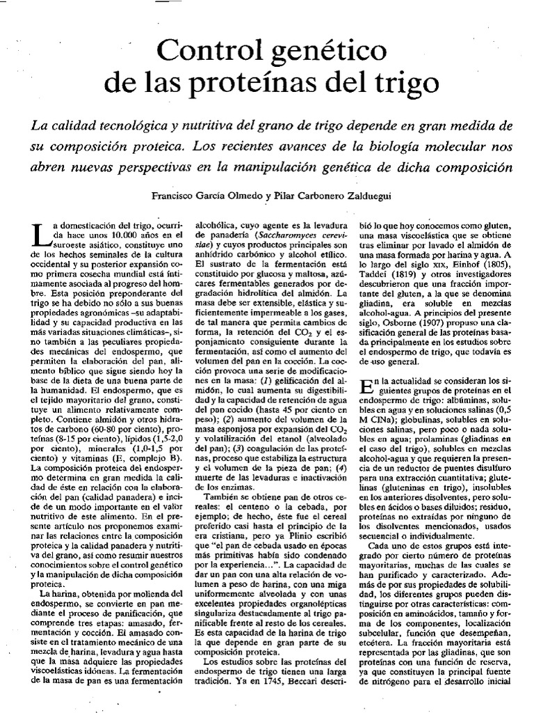 Control genético de las proteínas del trigo | PDF