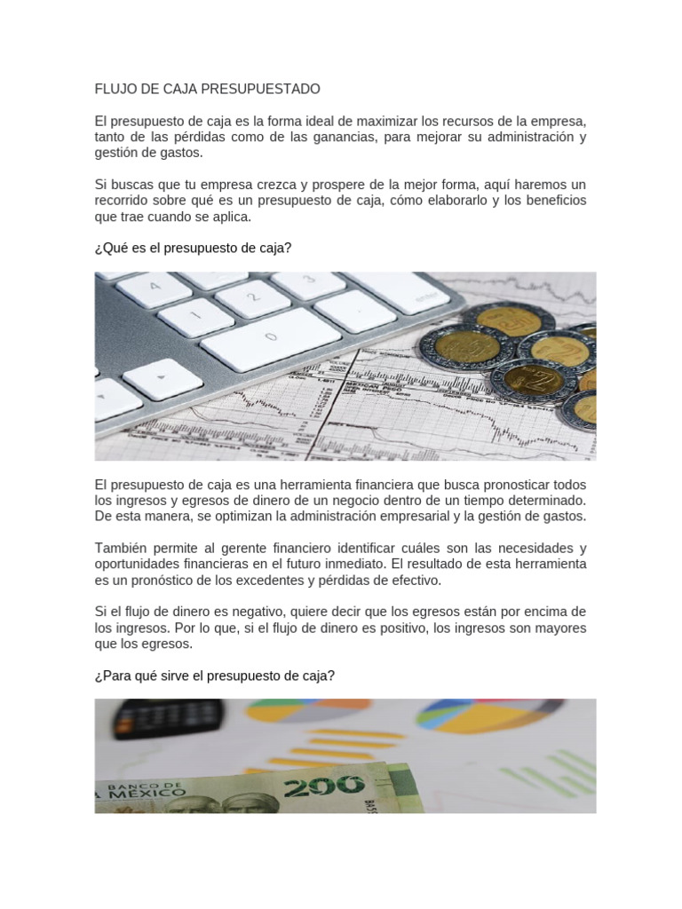 Teoria Del Flujo de Caja Presupuestado | PDF | Presupuesto | Crecimiento personal y profesional