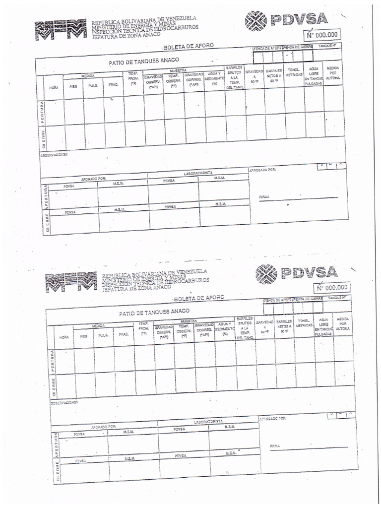 Minpet Boleta Pta | PDF