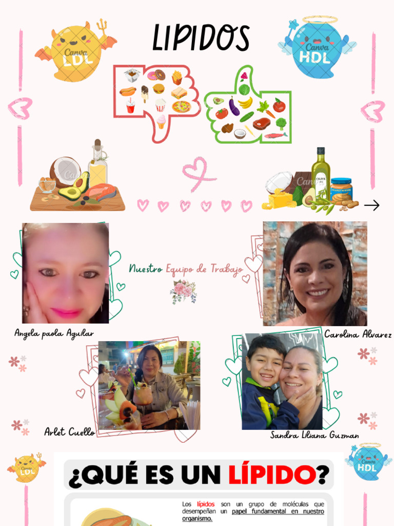 Presentacion Lipidos | PDF
