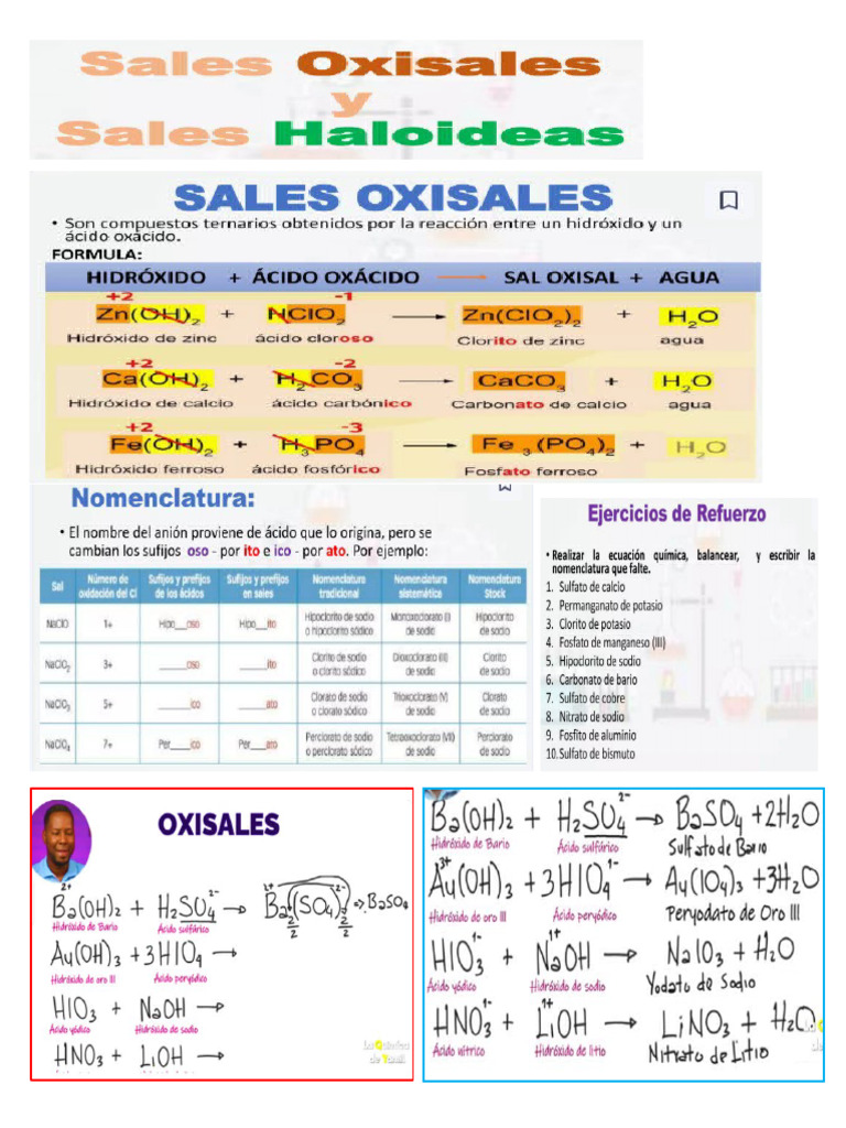 Ejemplos de Sales Oxisales y Haloideas Prof. | PDF
