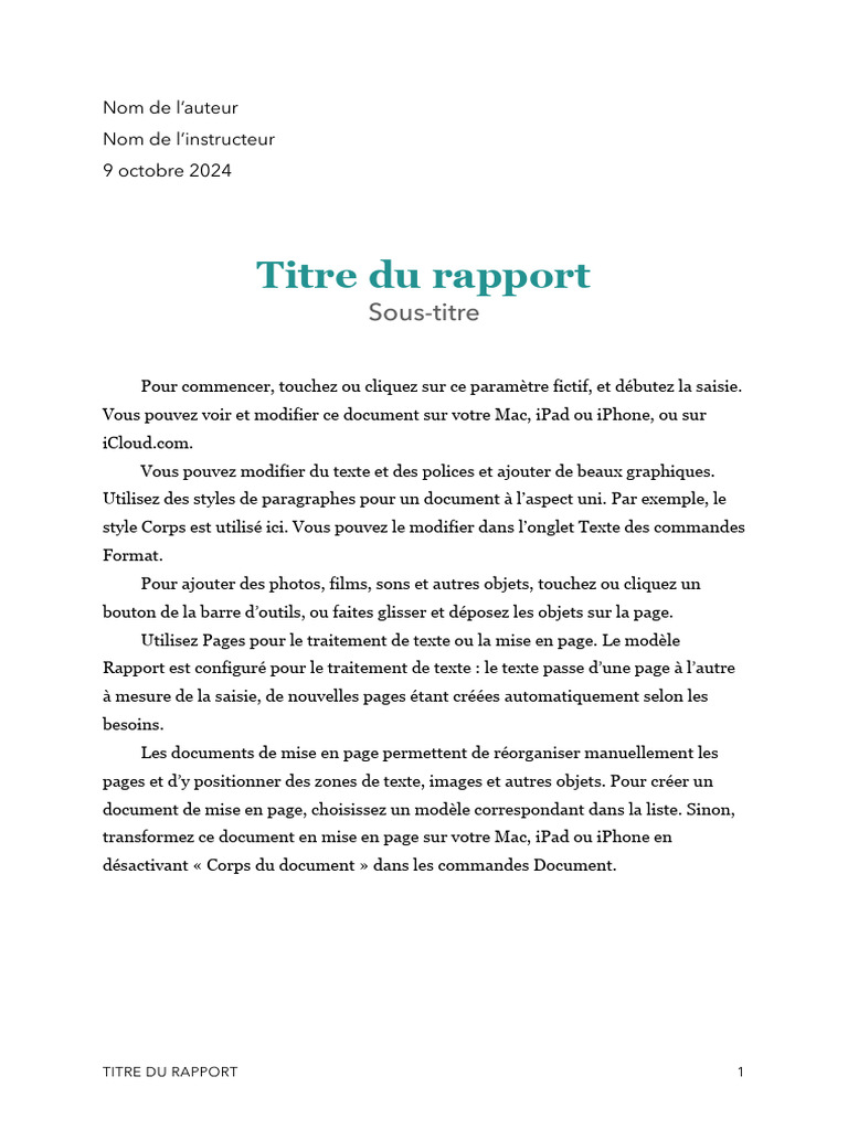 Rapport | PDF
