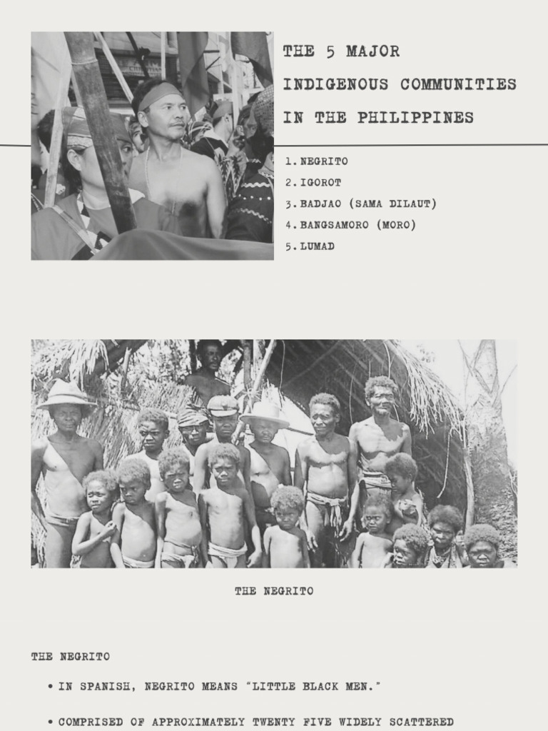 Pic 103 - Lesson IV (The Indigenous Filipino) | PDF