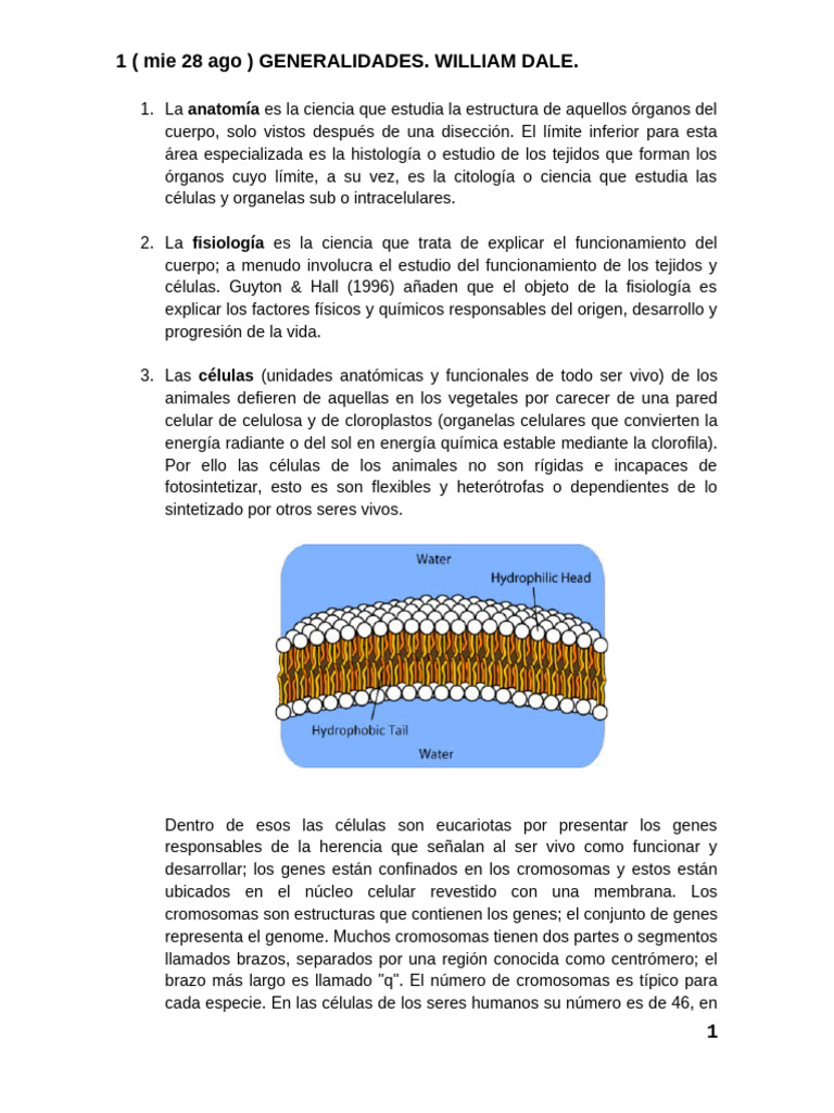 1A GENERALIDADES | PDF