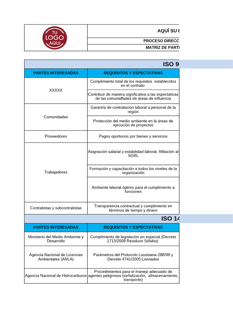 Matriz de Partes Interesadas | PDF